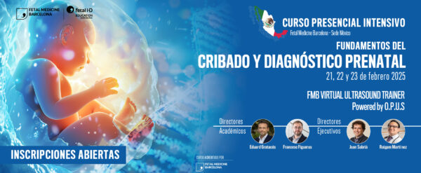 Curso Fundamentos del Cribado y Diagnóstico Prenatal - Fetal Medicine ...